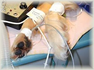Advanced Diagnostic Equipment