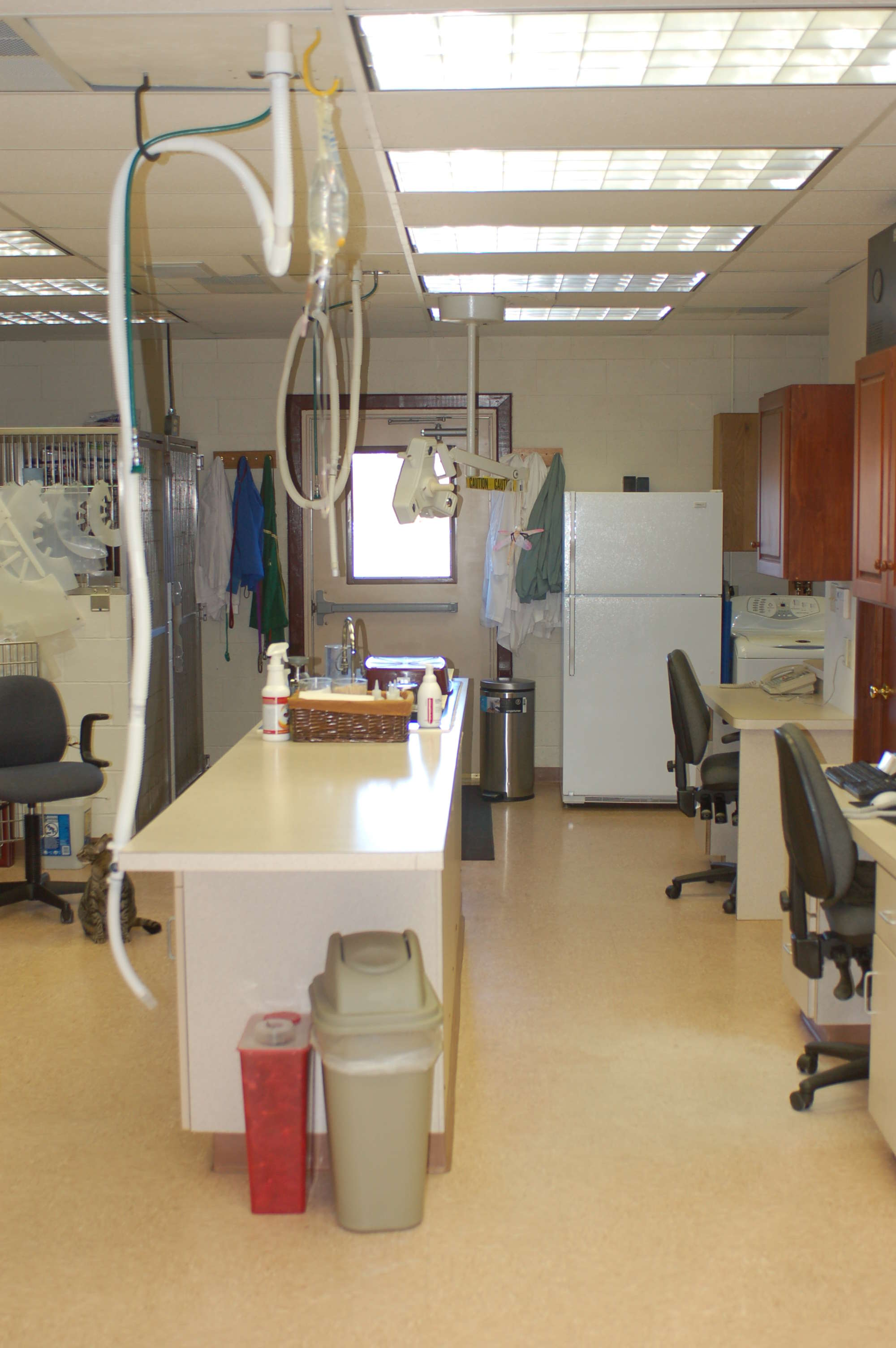Clinic Tour